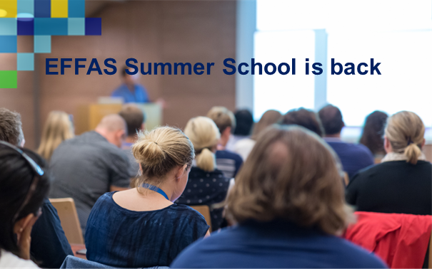 EFFAS Summer School 2023 (ESS) - Lisbon - EFFAS